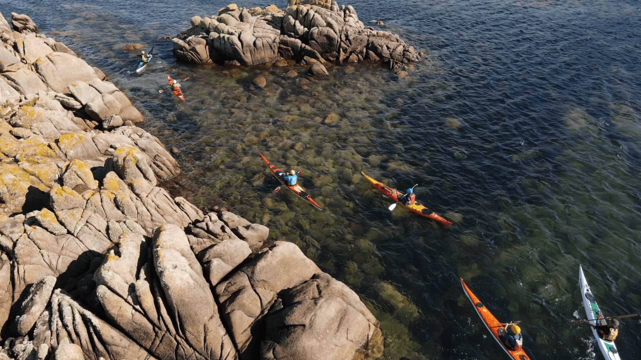 TRIP LEADER – KAYAK REDES